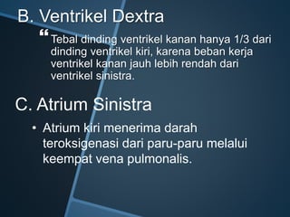 Anatomi_Fisiologi_Sistem_Kardiovaskuler.pptx