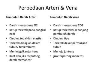 Anatomi_Fisiologi_Sistem_Kardiovaskuler.pptx