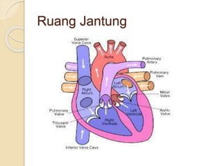 Anatomi_Fisiologi_Sistem_Kardiovaskuler.pptx