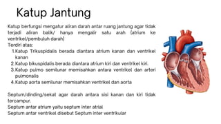 Anatomi Fisiologi Sistem Kardiovaskuler.pdf