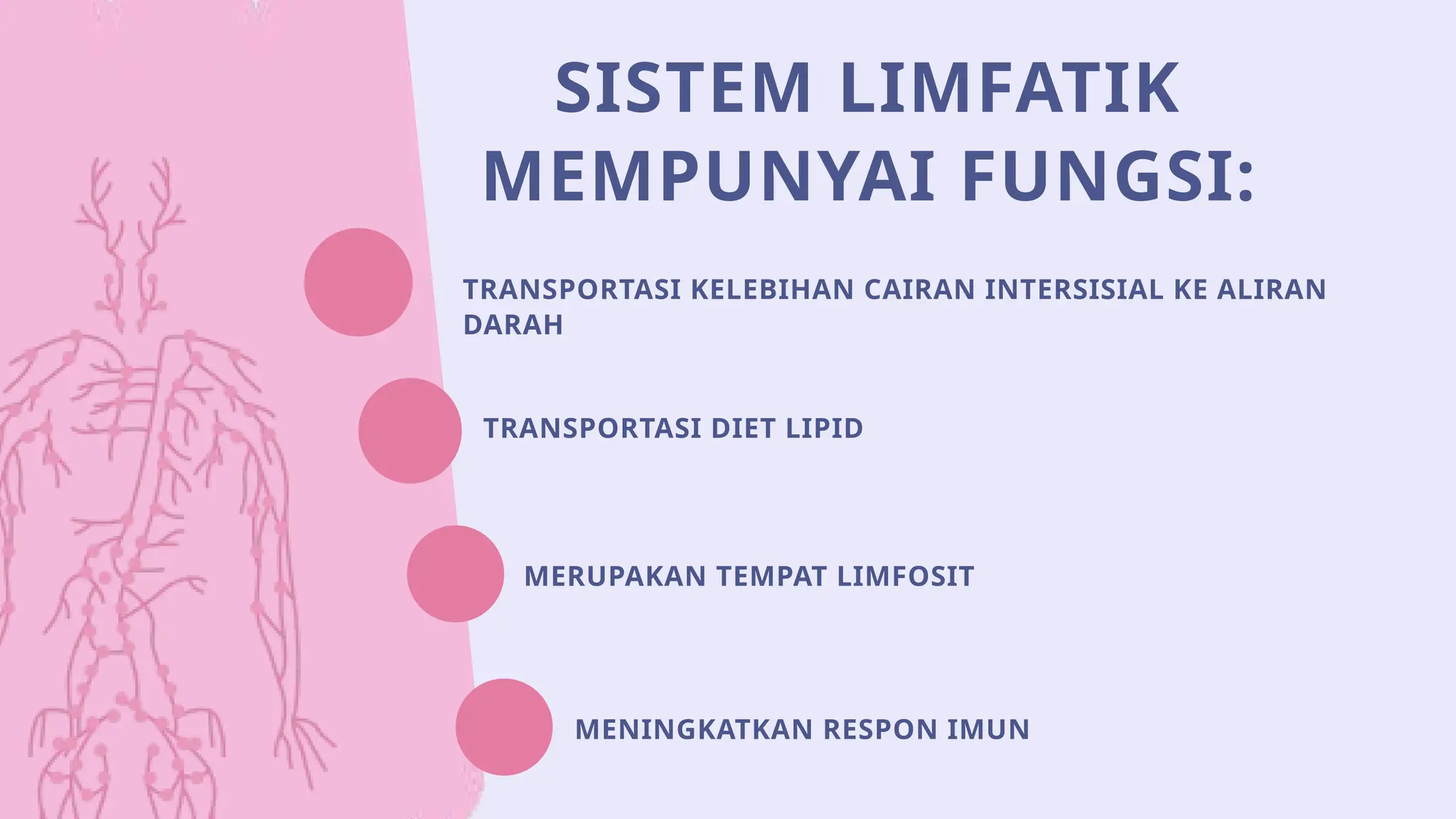anatomi fisiologi sistem limfatik manusia | PPTX