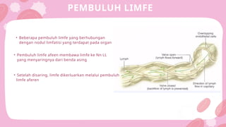 anatomi fisiologi sistem limfatik manusia | PPTX