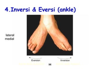 Anatomi fisiologi sistem muskuloskeletal.ppt