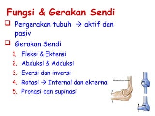Anatomi fisiologi sistem muskuloskeletal.ppt