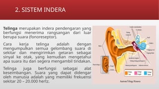 Anatomi Fisiologi_Sistem Organ BIdang K3.pptx