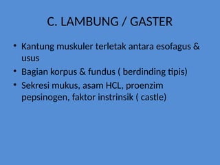 Anatomi fisiologi sistem pencernaan.pptx