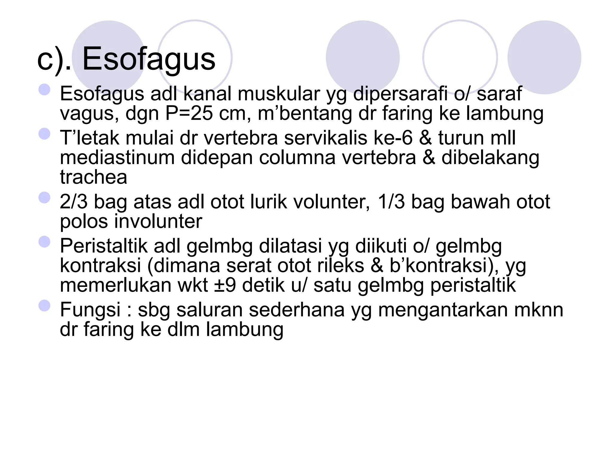 ANATOMI FISIOLOGI SISTEM PENCERNAAN TUBUH MANUSIA.ppt