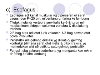 ANATOMI FISIOLOGI SISTEM PENCERNAAN TUBUH MANUSIA.ppt