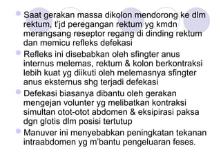 ANATOMI FISIOLOGI SISTEM PENCERNAAN TUBUH MANUSIA.ppt