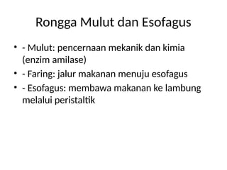 Anatomi_Fisiologi_Sistem_Pencernaan.pptx