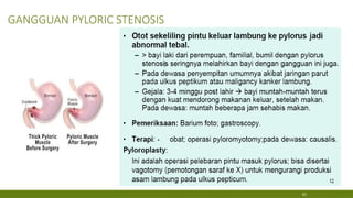 Anatomi Fisiologi Sistem Pencernaan.pptx