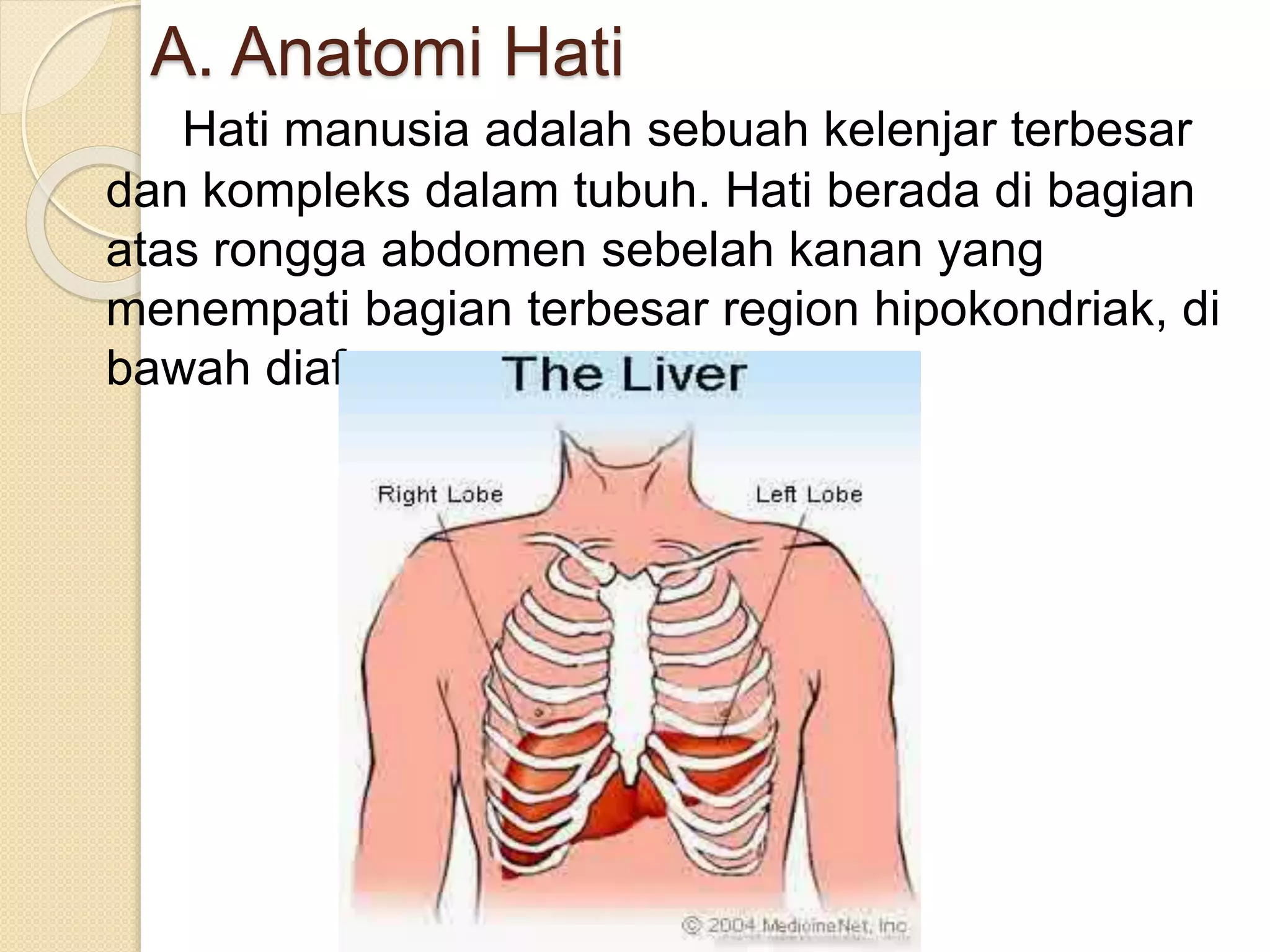 Anatomi fisiologi sistem pencernaan (hati) | PPTX