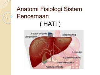 Anatomi fisiologi sistem pencernaan (hati) | PPTX