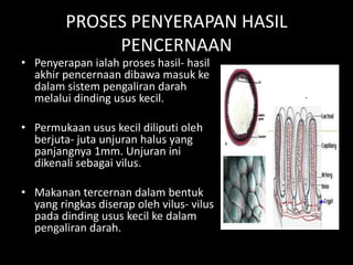 Anatomi & fisiologi sistem pencernaan & metabolisme badan | PPTX