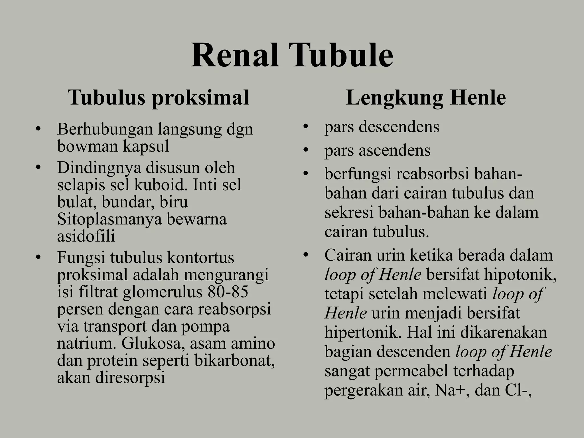 Anatomi Fisiologi Sistem Perkemihan (Traktus Urinarius) | PPTX