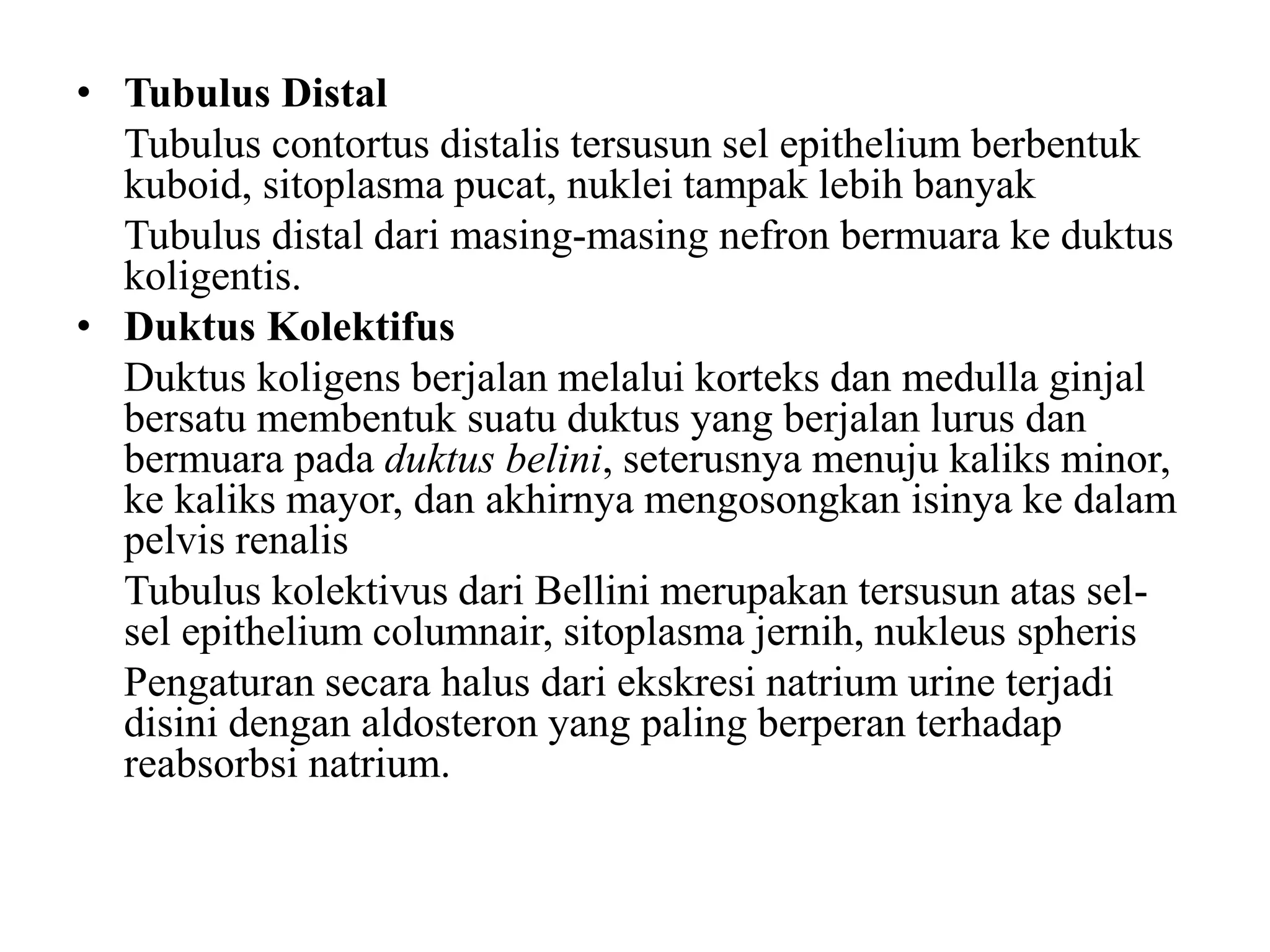 Anatomi Fisiologi Sistem Perkemihan (Traktus Urinarius) | PPTX