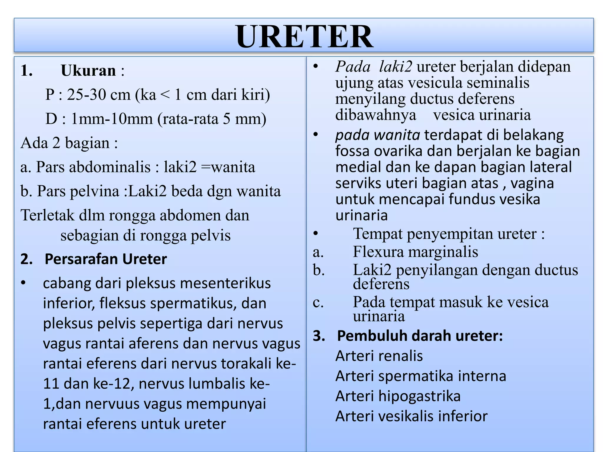 Anatomi Fisiologi Sistem Perkemihan (Traktus Urinarius) | PPTX