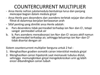 Anatomi Fisiologi Sistem Perkemihan (Traktus Urinarius) | PPTX