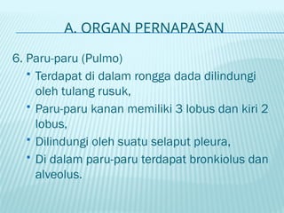 ANATOMI FISIOLOGI SISTEM PERNAFASAN.pptx