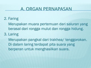 ANATOMI FISIOLOGI SISTEM PERNAFASAN.pptx