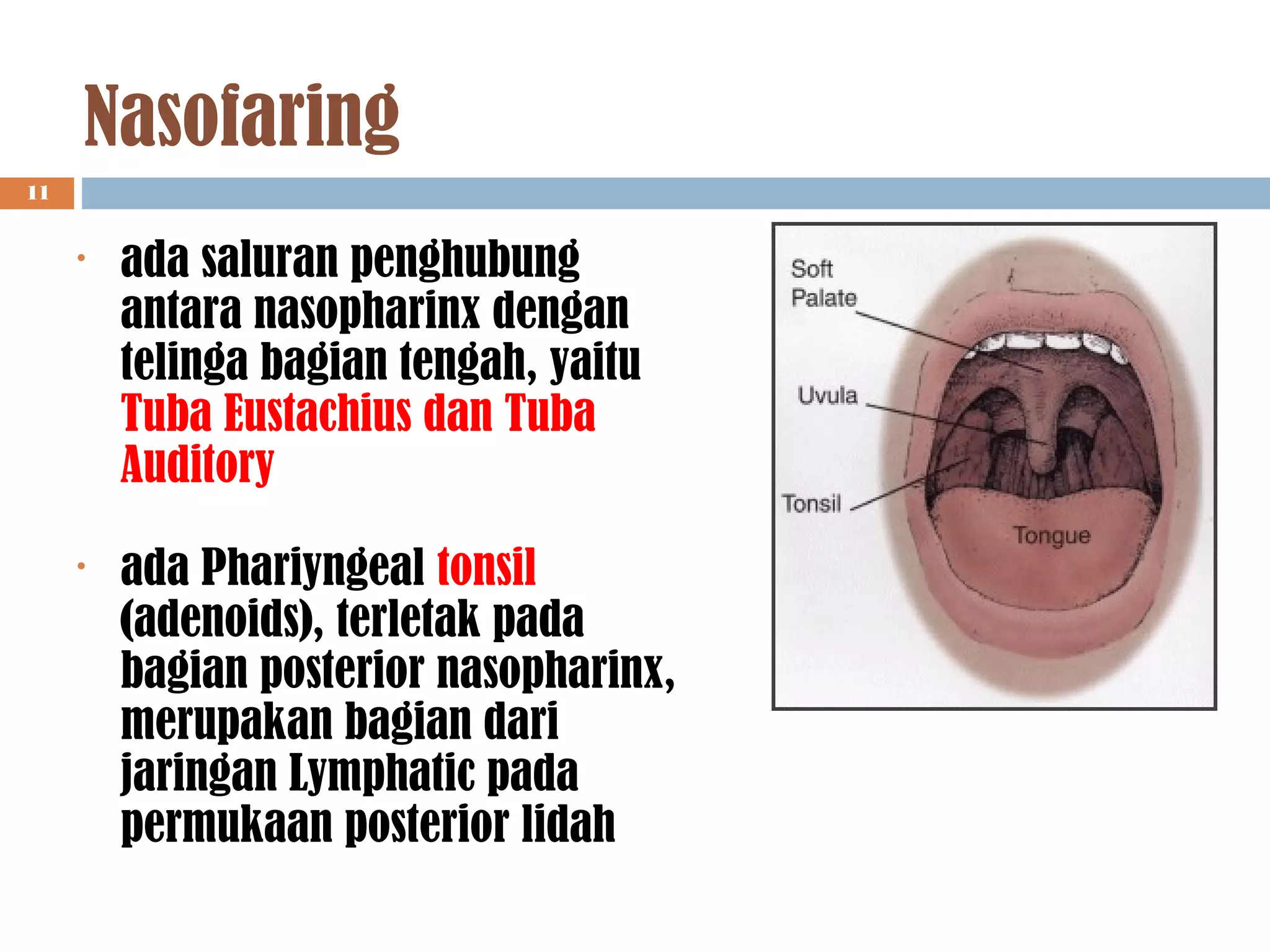 Anatomi fisiologi sistem pernafasan tm1 | PPT