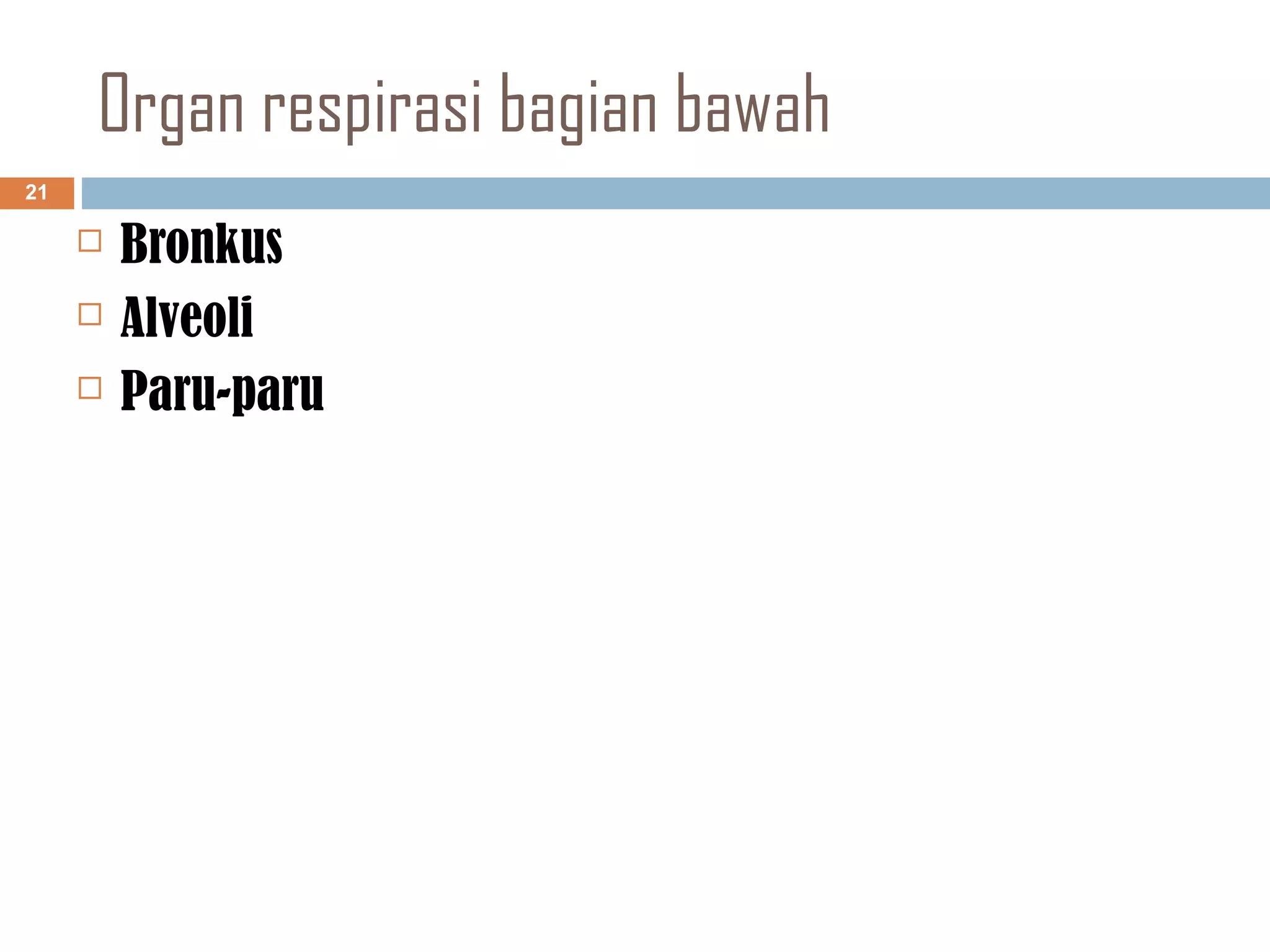 Anatomi fisiologi sistem pernafasan tm1 | PPT
