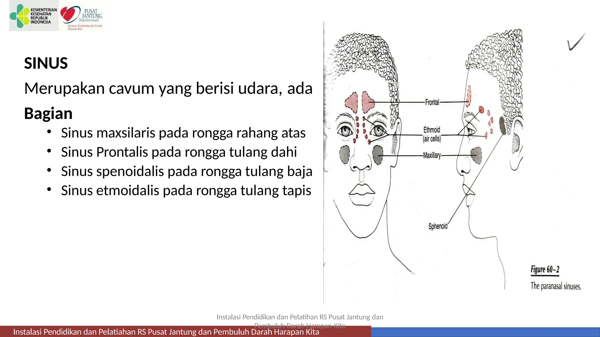 Anatomi Fisiologi Sistem Pernafasan.pptx