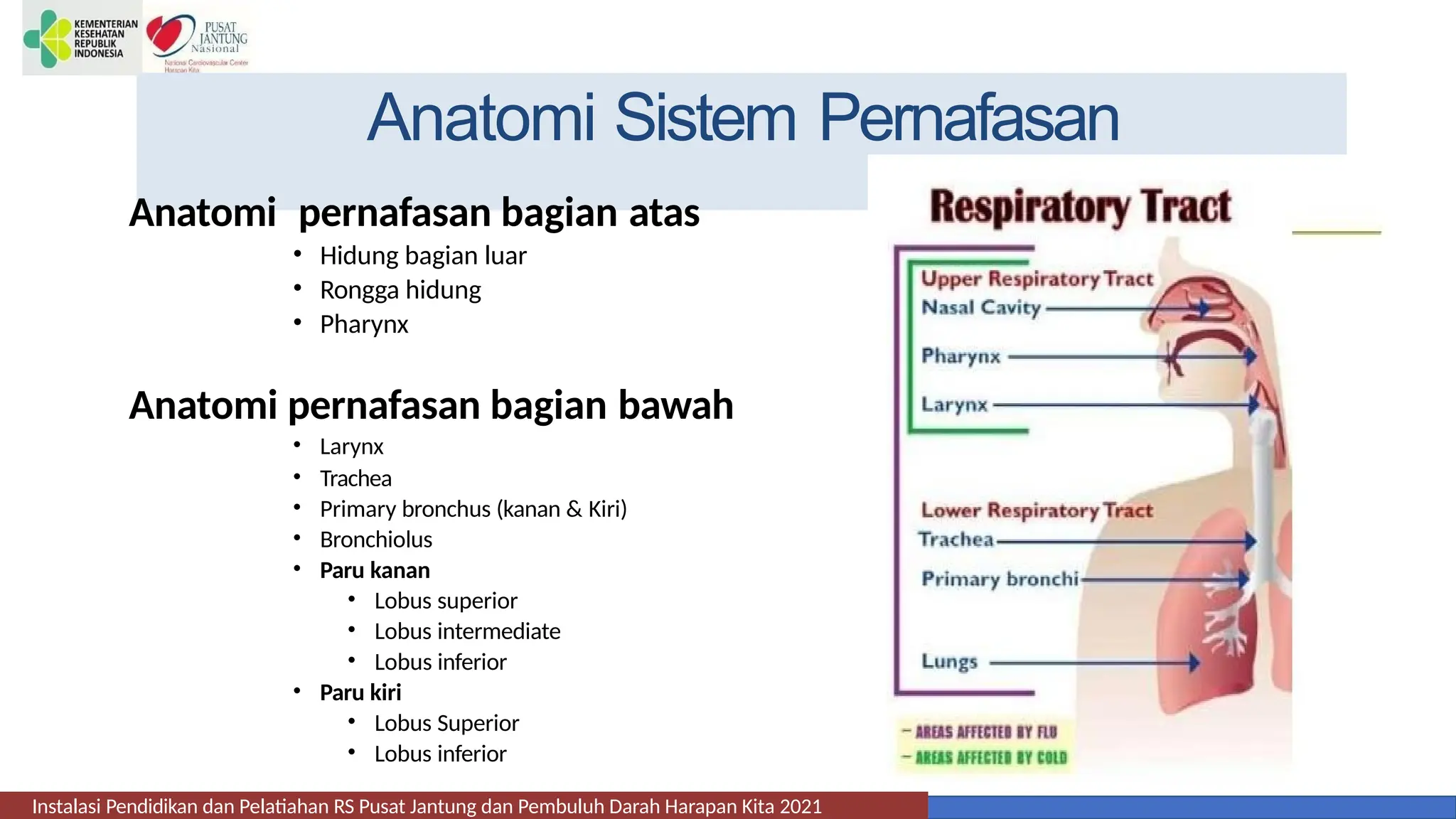 Anatomi Fisiologi Sistem Pernafasan.pptx
