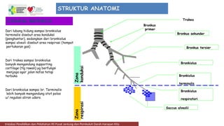 Anatomi Fisiologi Sistem Pernafasan.pptx