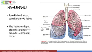 Anatomi Fisiologi Sistem Pernafasan.pptx