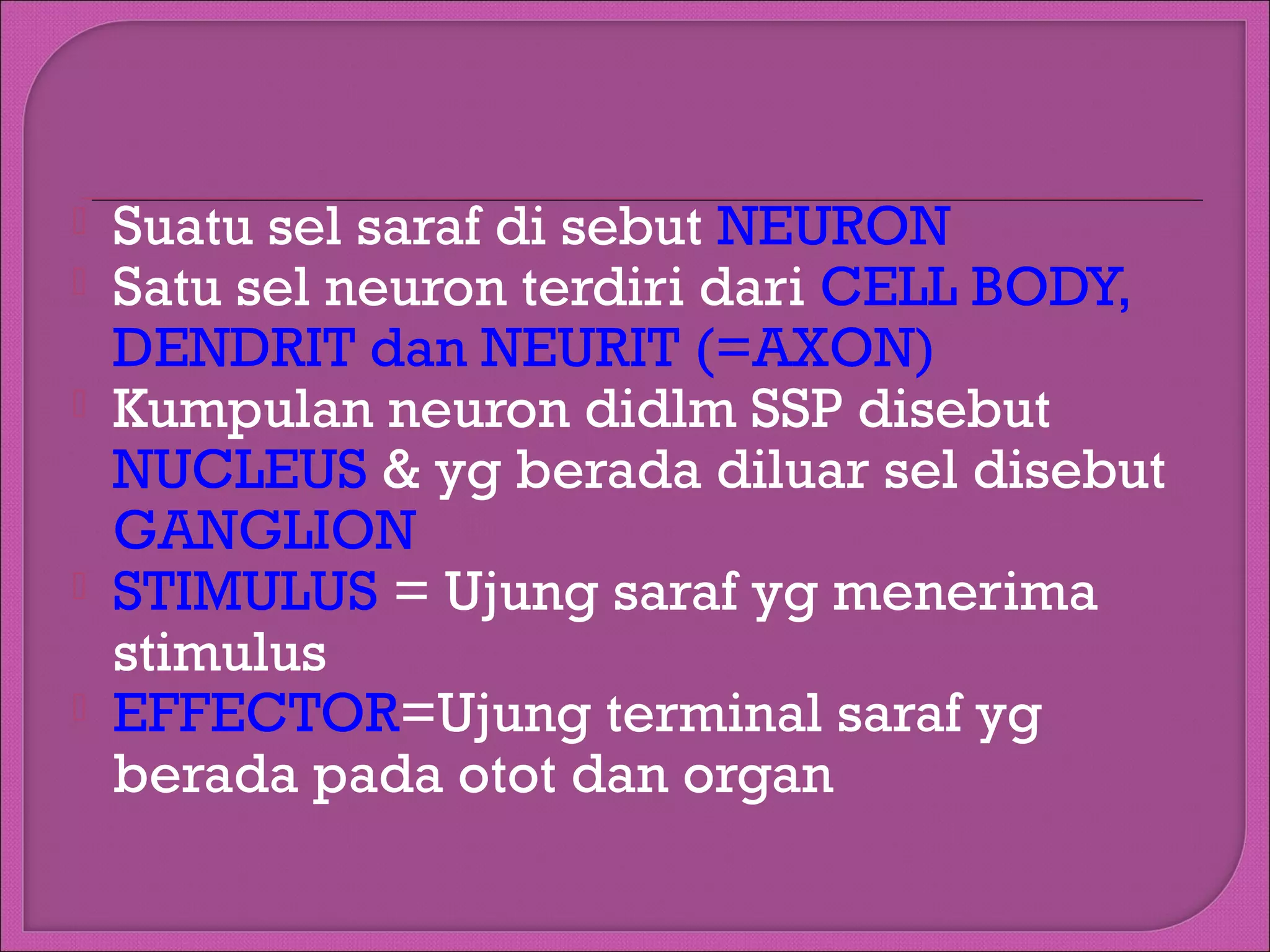 Anatomi fisiologi sistem persarafan | PPT
