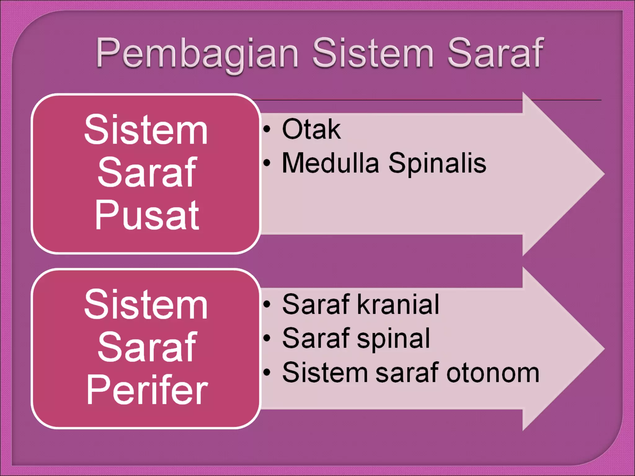 Anatomi fisiologi sistem persarafan | PPT