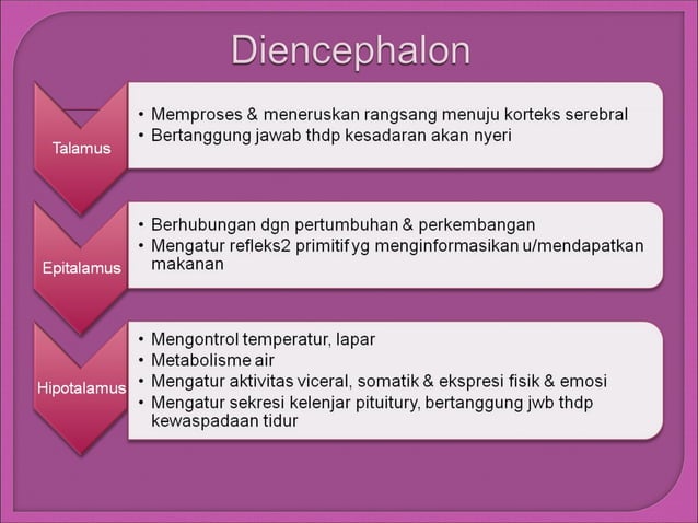 Anatomi fisiologi sistem persarafan | PPT