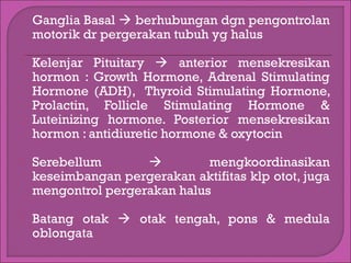 Anatomi fisiologi sistem persarafan | PPT