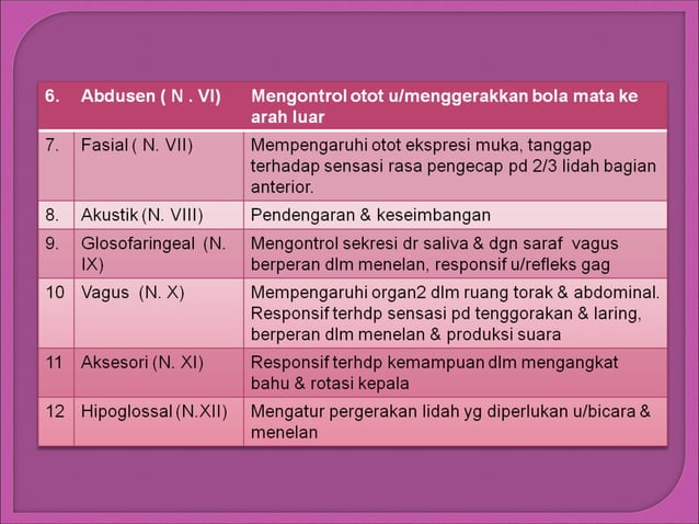 Anatomi fisiologi sistem persarafan | PPT