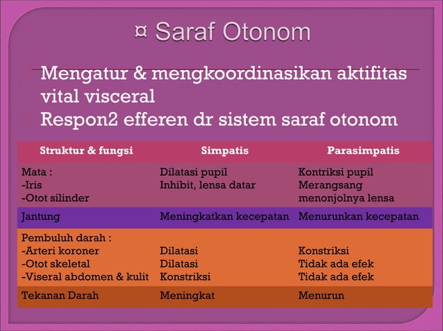 Anatomi fisiologi sistem persarafan | PPT