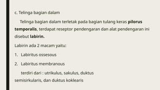 Anatomi fisiologi sistem persepsi sensori.pptx