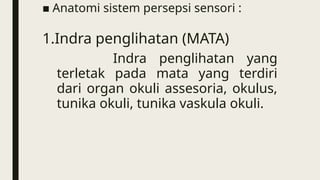 Anatomi fisiologi sistem persepsi sensori.pptx