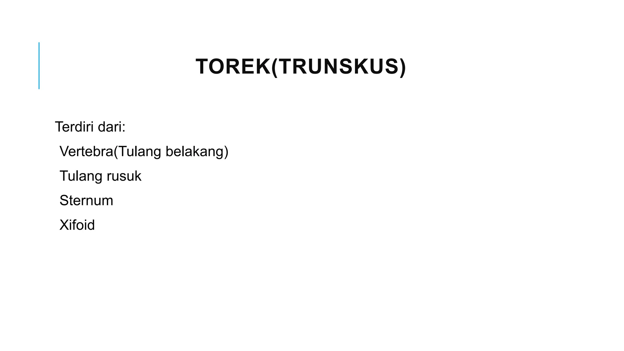 ANATOMI FISIOLOGI SISTEM RANGKA Eyren ifa aulia.pptx