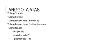 ANATOMI FISIOLOGI SISTEM RANGKA Eyren ifa aulia.pptx | Free Download