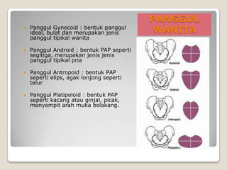 Anatomi fisiologi sistem reproduksi | PPTX