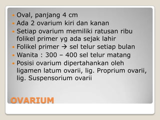 Anatomi fisiologi sistem reproduksi | PPTX