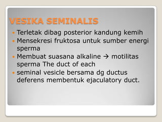 Anatomi fisiologi sistem reproduksi | PPTX