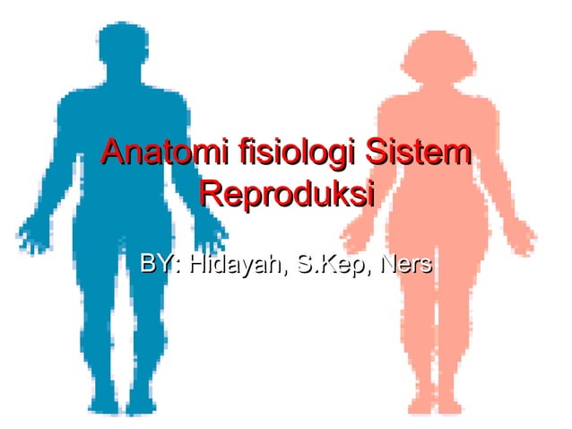 Anatomi fisiologi sistem reproduksi | PPT