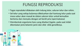 ANATOMI FISIOLOGI SISTEM REPRODUKSI.pptx