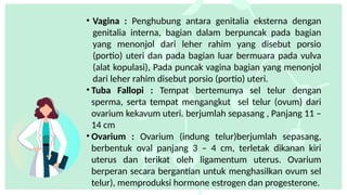 ANATOMI FISIOLOGI SISTEM REPRODUKSI.pptx