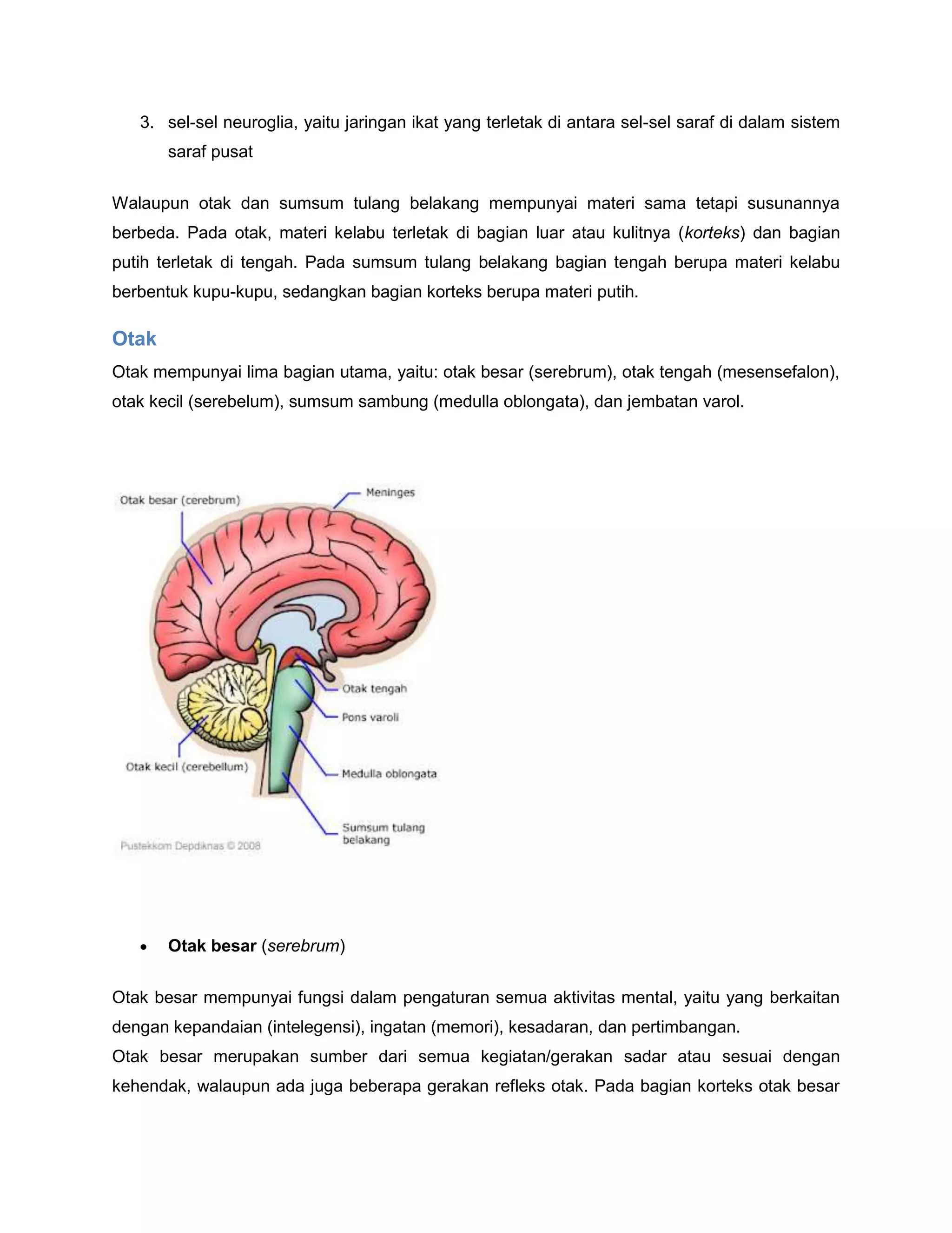 Anatomi fisiologi sistem saraf | DOCX