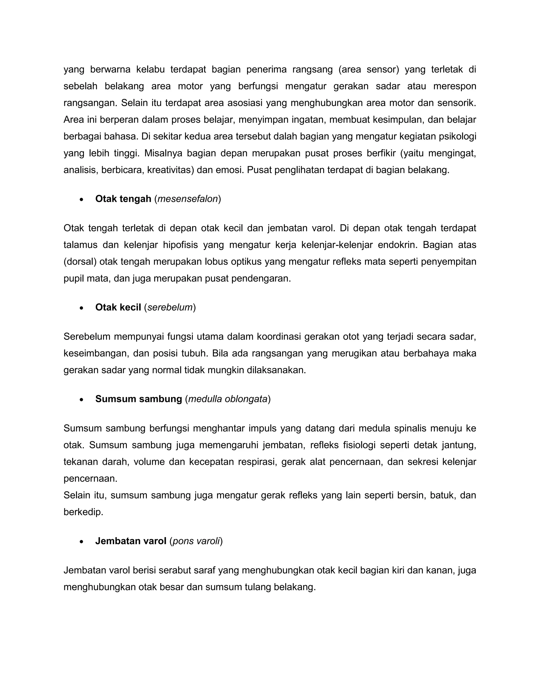Anatomi fisiologi sistem saraf | DOCX