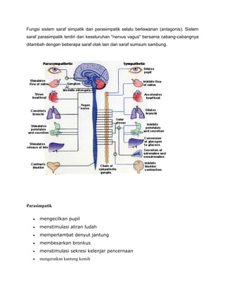 Anatomi fisiologi sistem saraf | DOCX