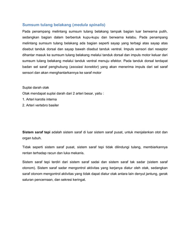 Anatomi fisiologi sistem saraf | DOCX